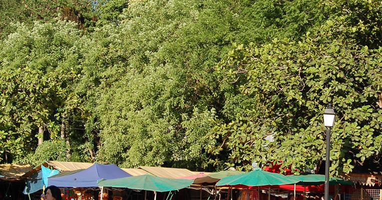 Hmong Market in the day, centre-town of Luang Prabang.